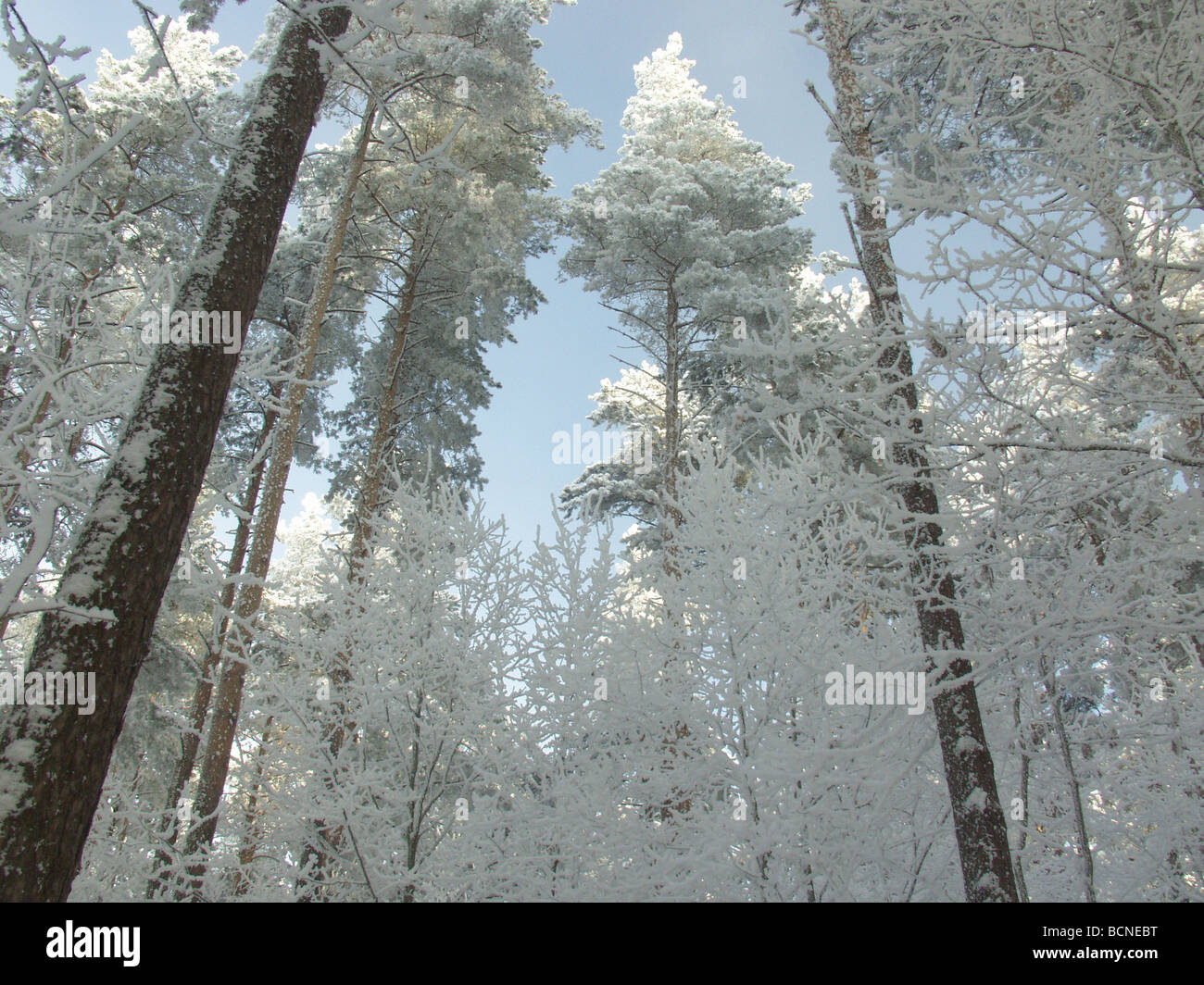 Winter landscape day after blizzard Stock Photo - Alamy