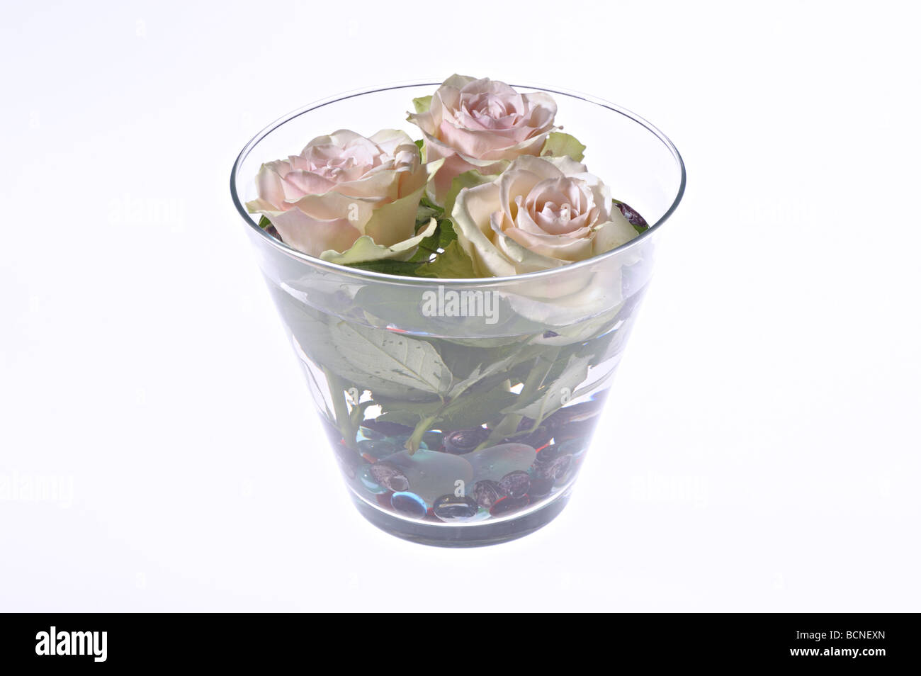 A vase of transparent glass with water and roses Stock Photo - Alamy