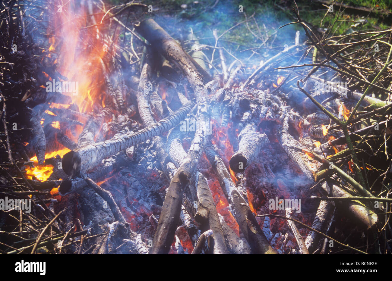 Branches trees burning in smoking hi-res stock photography and images ...