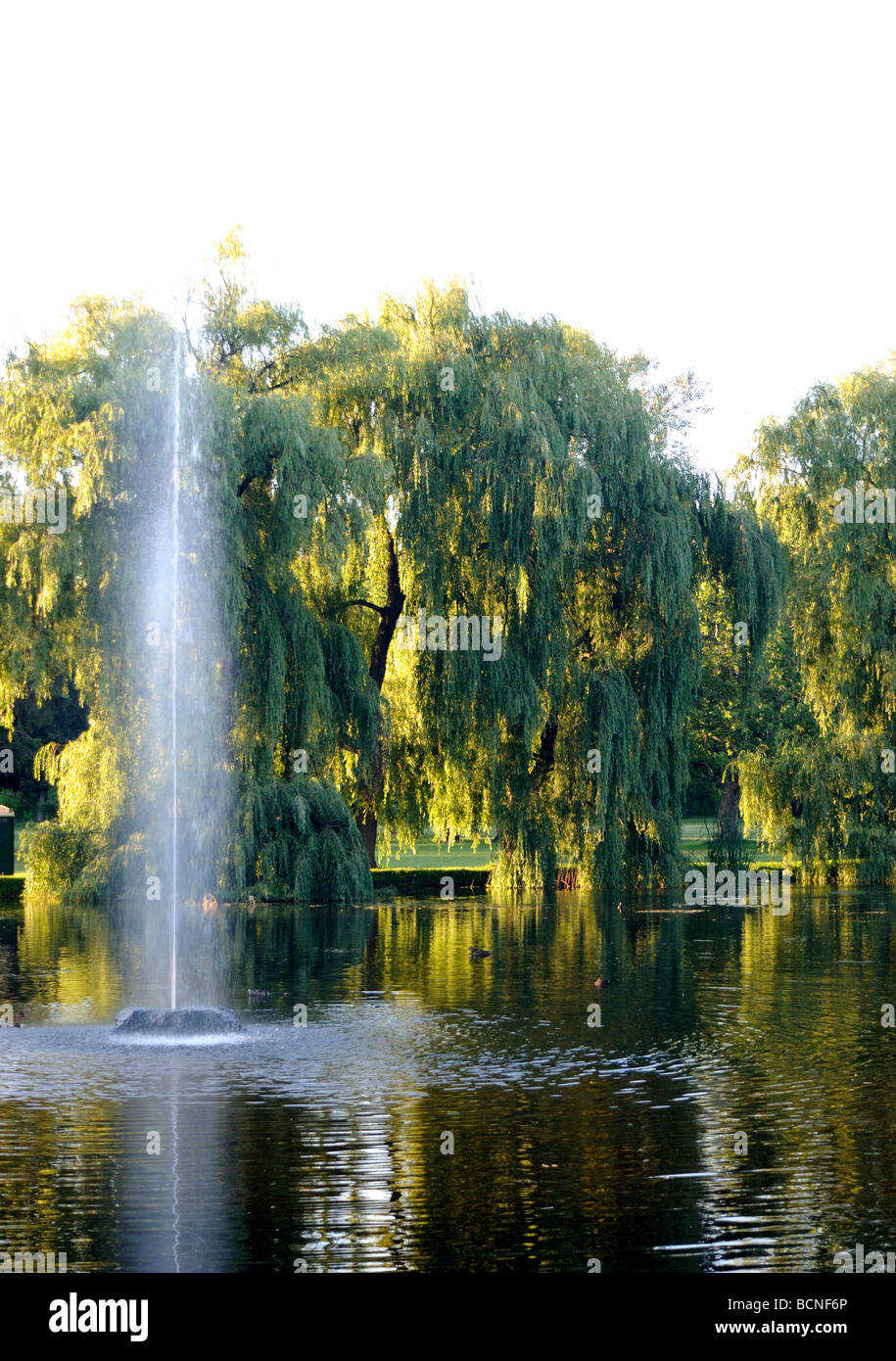 Stromovka Park Prague Czech Republic Stock Photo - Alamy
