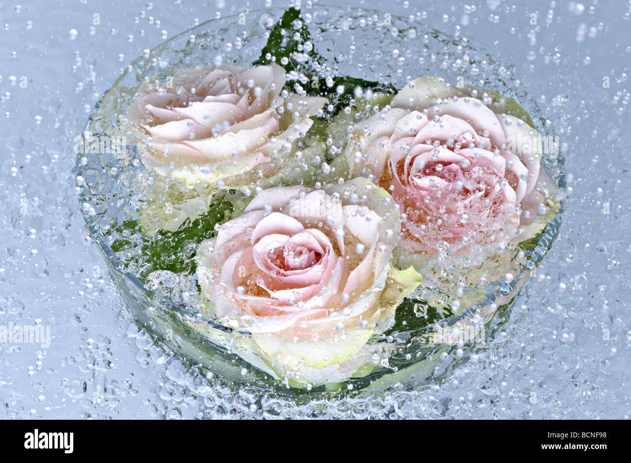 Running floral spray hi-res stock photography and images - Alamy