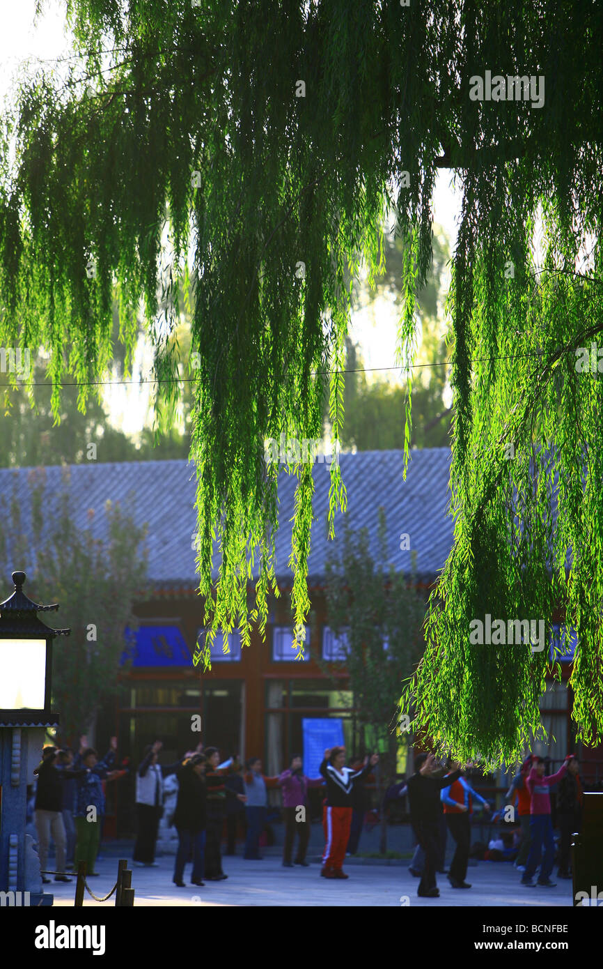 Chinese people exercising in imperial garden Beihai Park, Beijing ...