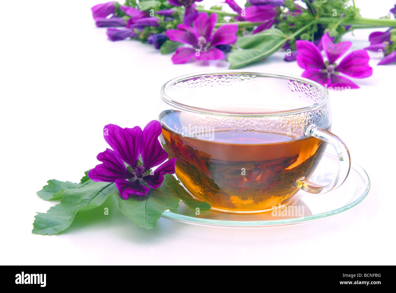Tee Malve tea malva 09 Stock Photo - Alamy