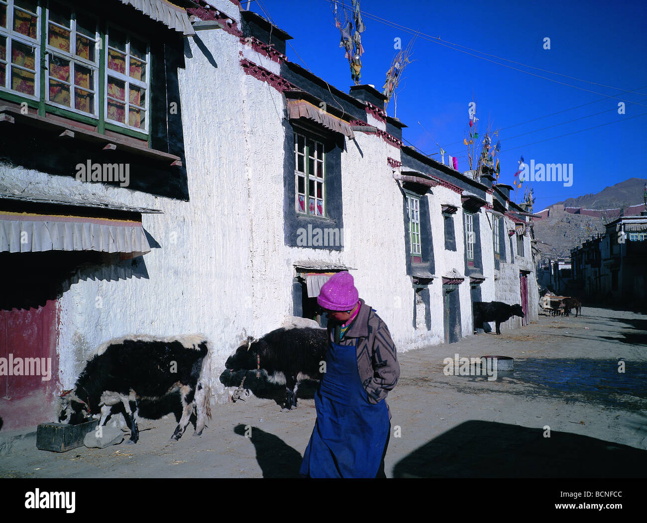 Tibetan village in Tingri County, Shigatse Prefecture, Tibet Autonomous ...