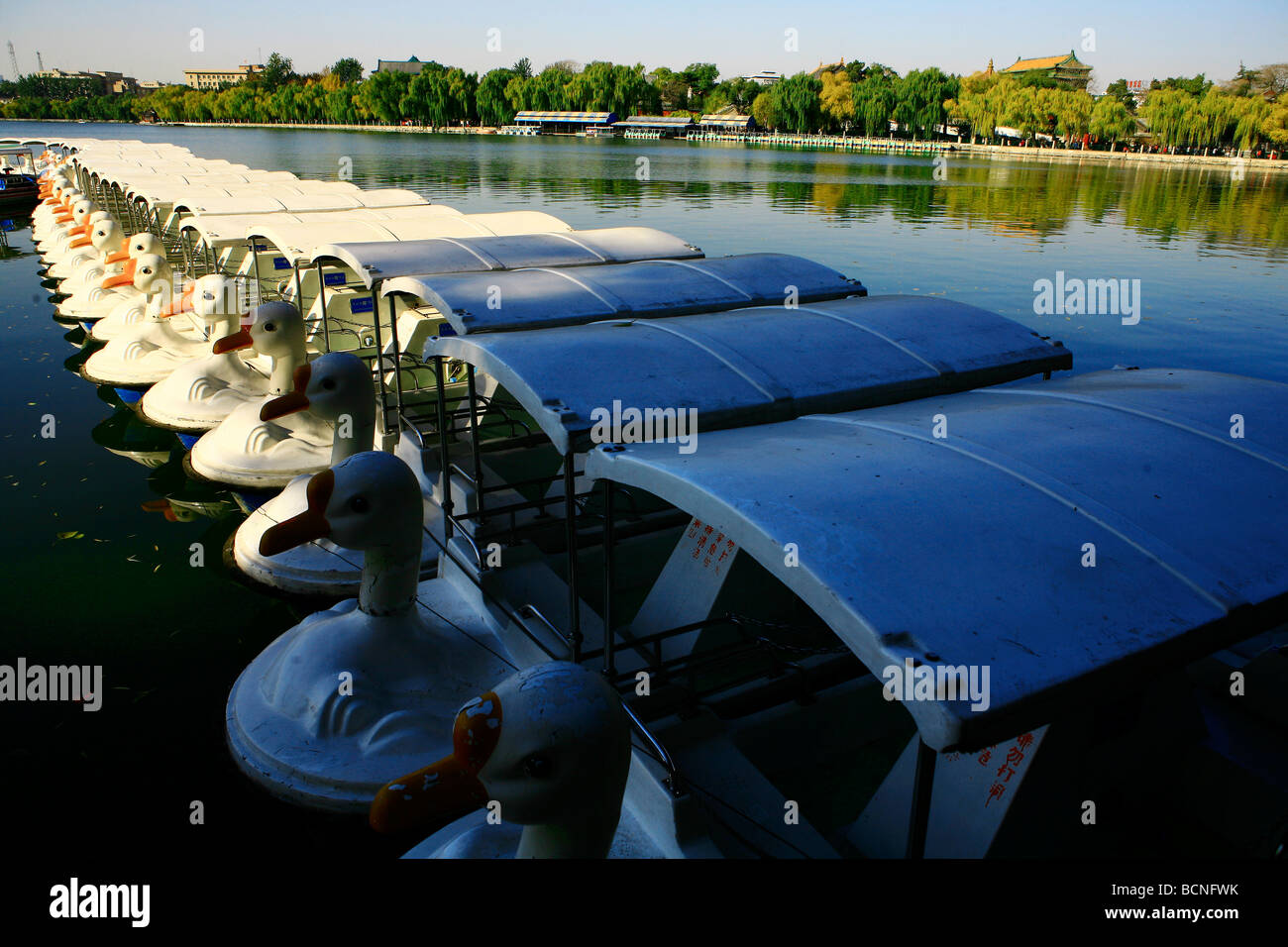 Duck shaped boats hi-res stock photography and images - Alamy