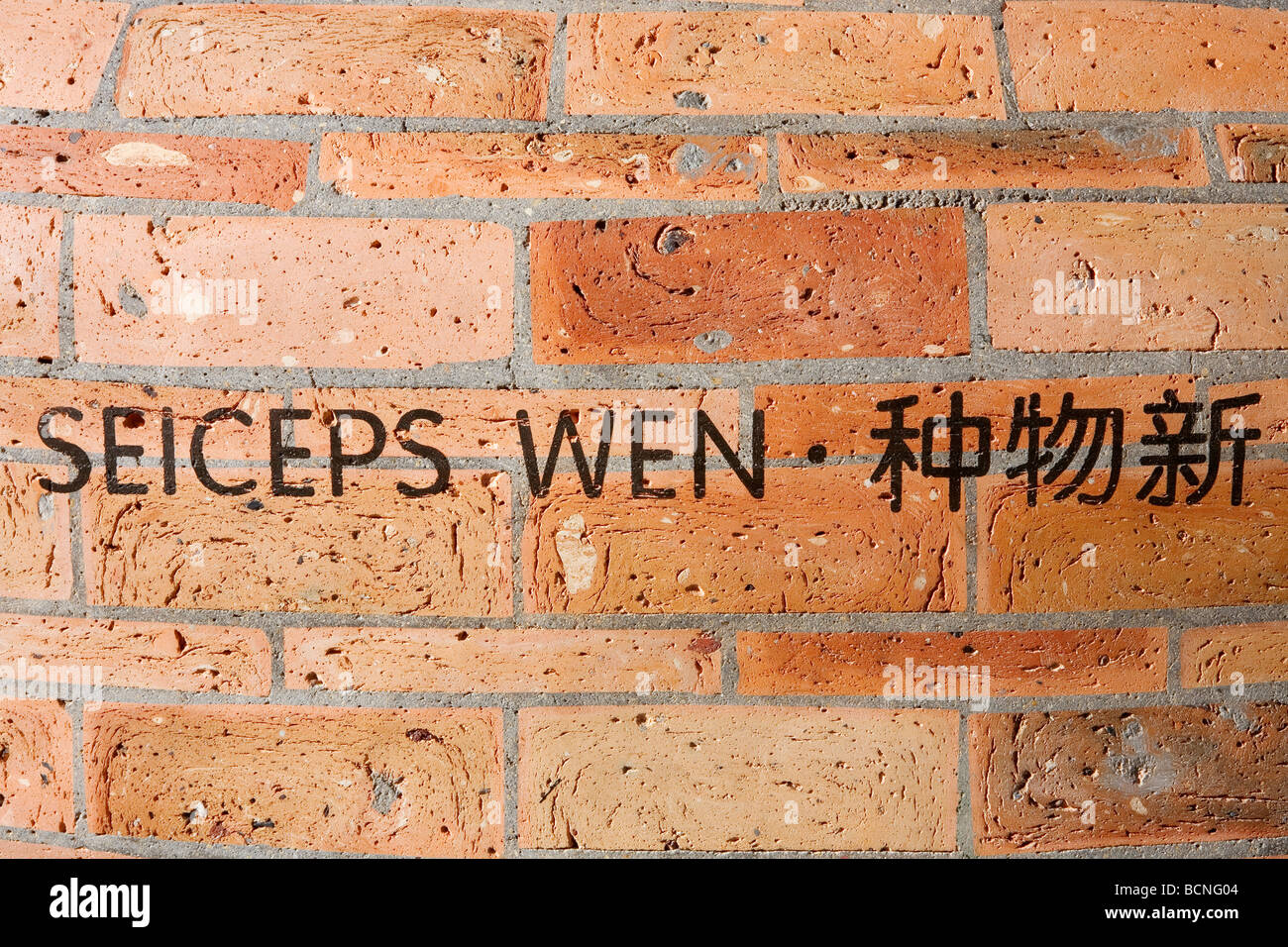 Slogan on wall hi-res stock photography and images - Alamy
