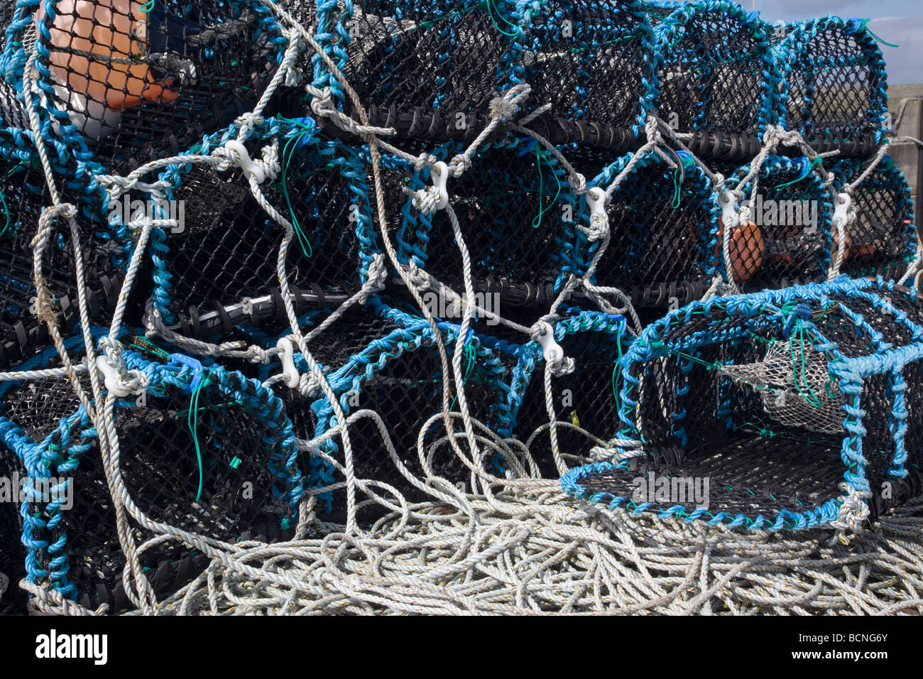 Creels on Berneray harbour, Western Isles, Scotland Stock Photo - Alamy