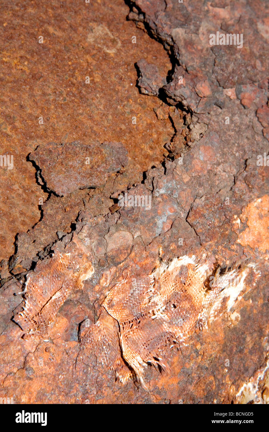 Thick layer of rust on an old pipe, 798 Art District, Beijing, China ...