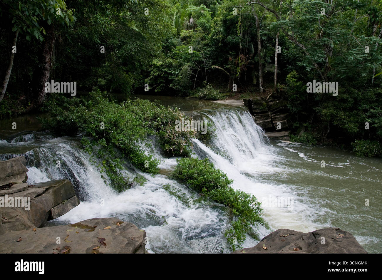 The San Antonio Waterfalls is a popular spot in the middle of Mayan ...