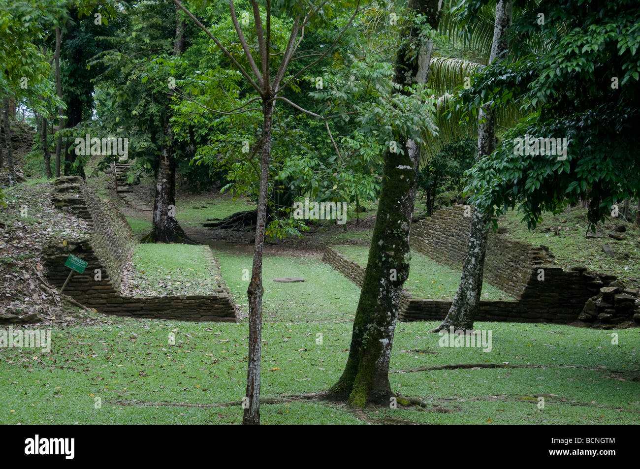 The archaeological features of the Mayan ruins Nim Li Punit near the ...