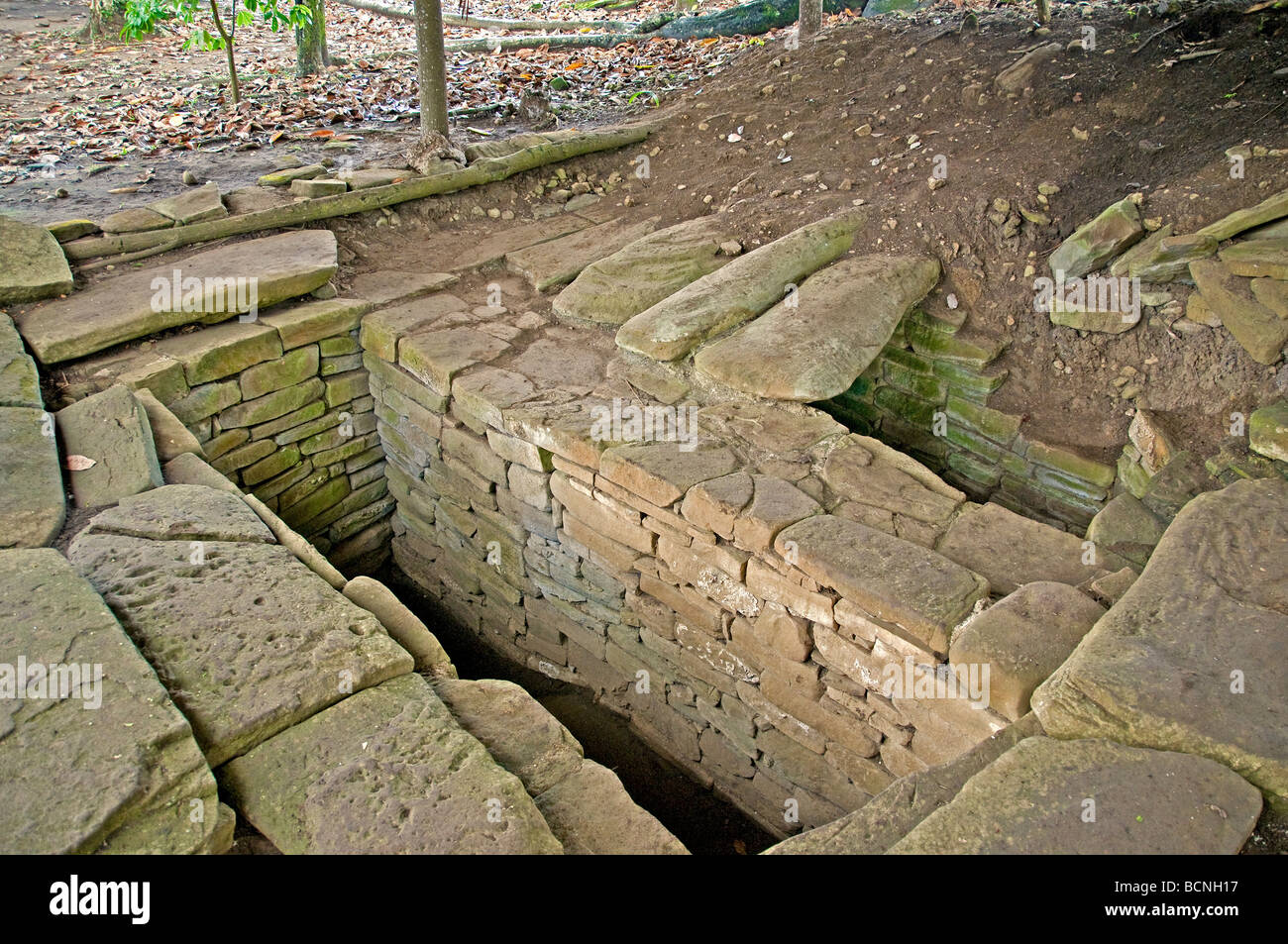 The archaeological features of the Mayan ruins Nim Li Punit near Punta ...