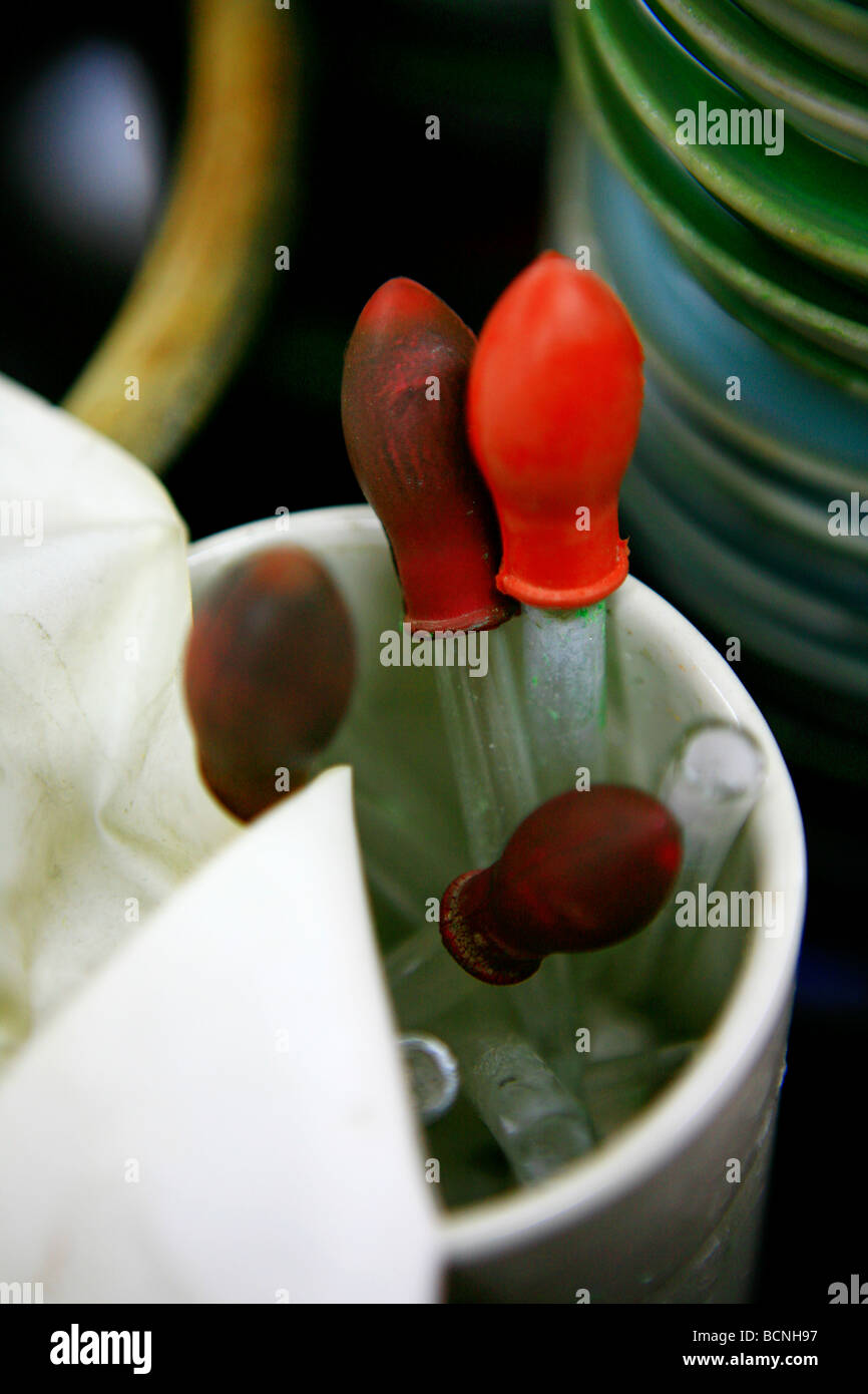 Cloisonne hi-res stock photography and images - Alamy