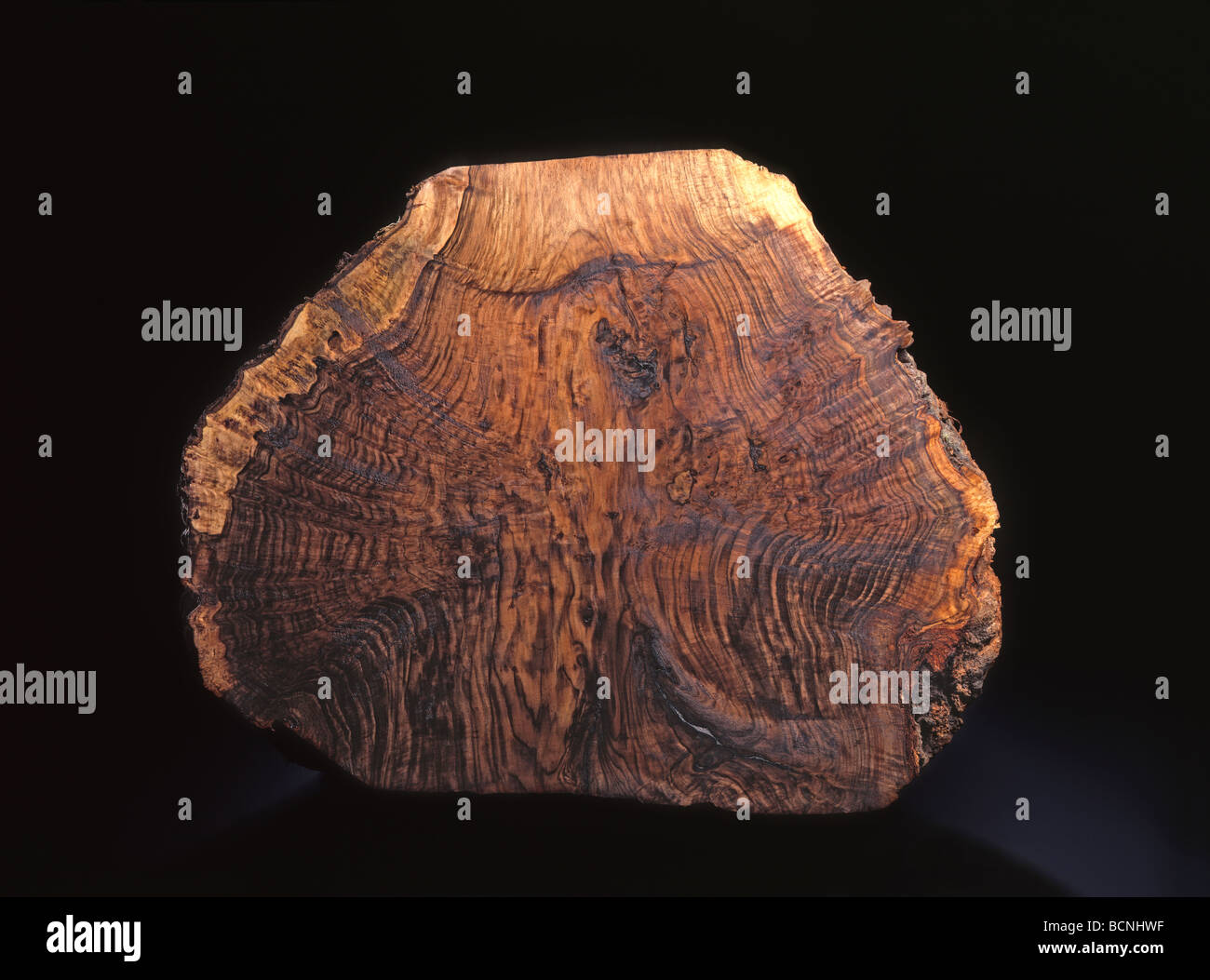 Root wood veneer hi-res stock photography and images - Alamy