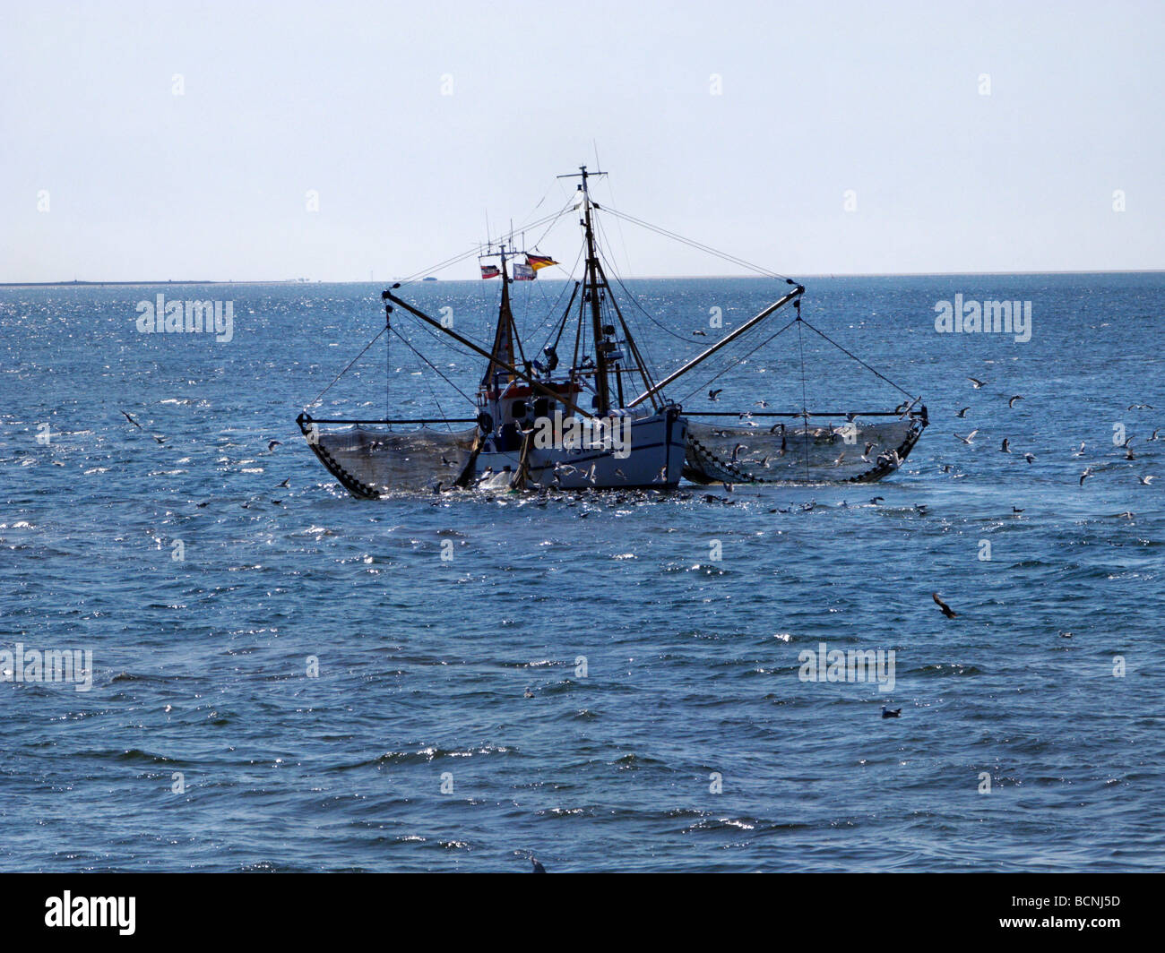 Shrimp Fishing Trawler Operating in the North Sea off the North Frisian ...