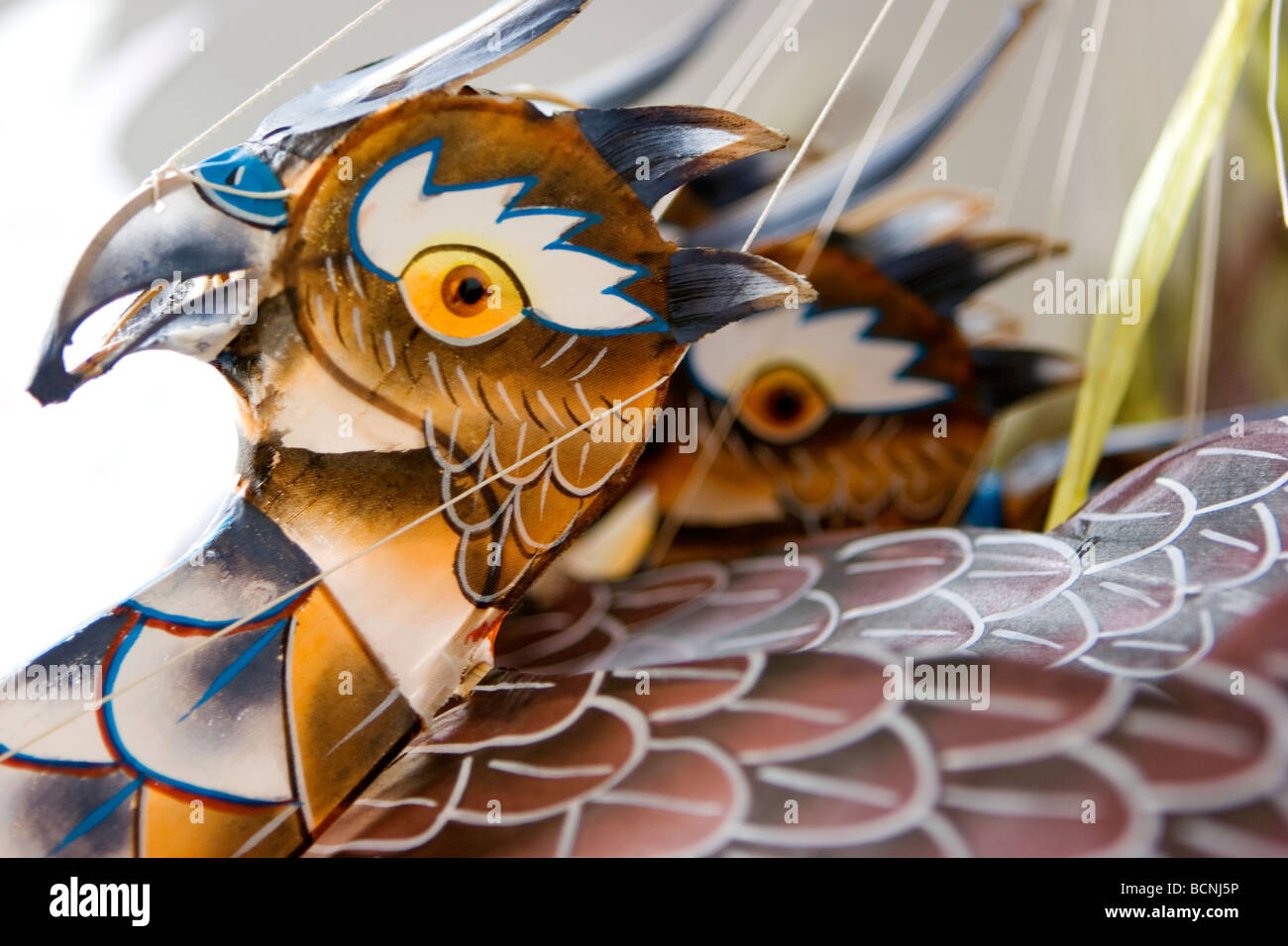Eagle design hi-res stock photography and images - Alamy