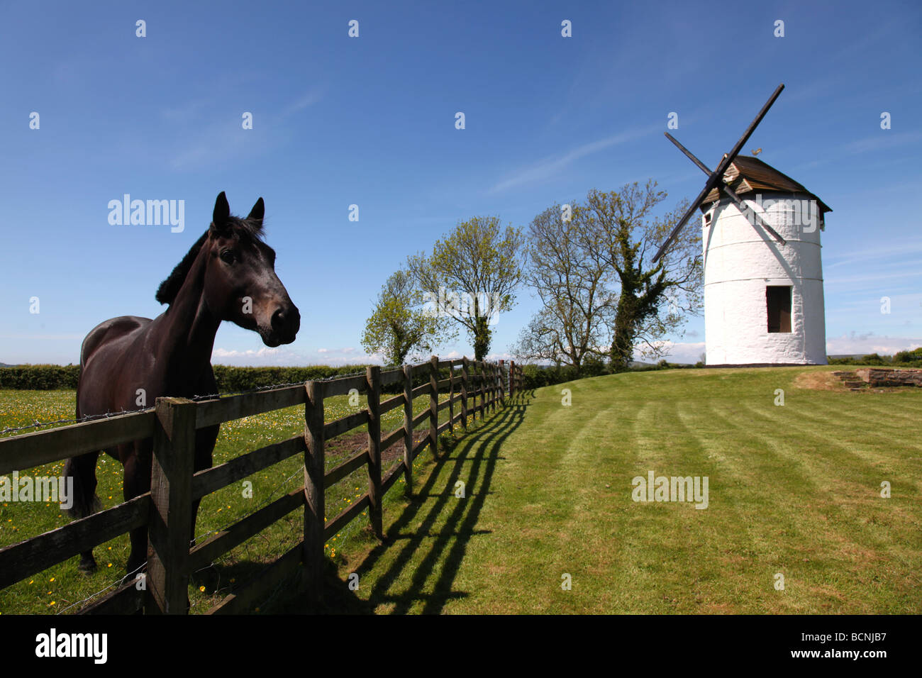 Horse & windmill Stock Photo - Alamy
