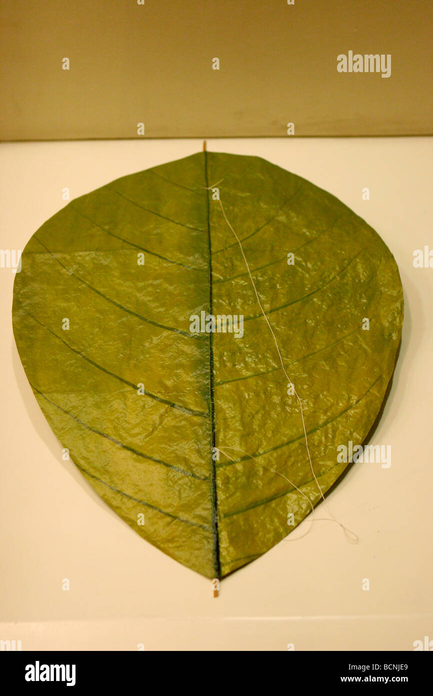 Kite with a single leaf design, The Kite Museum, Weifang, Shandong ...