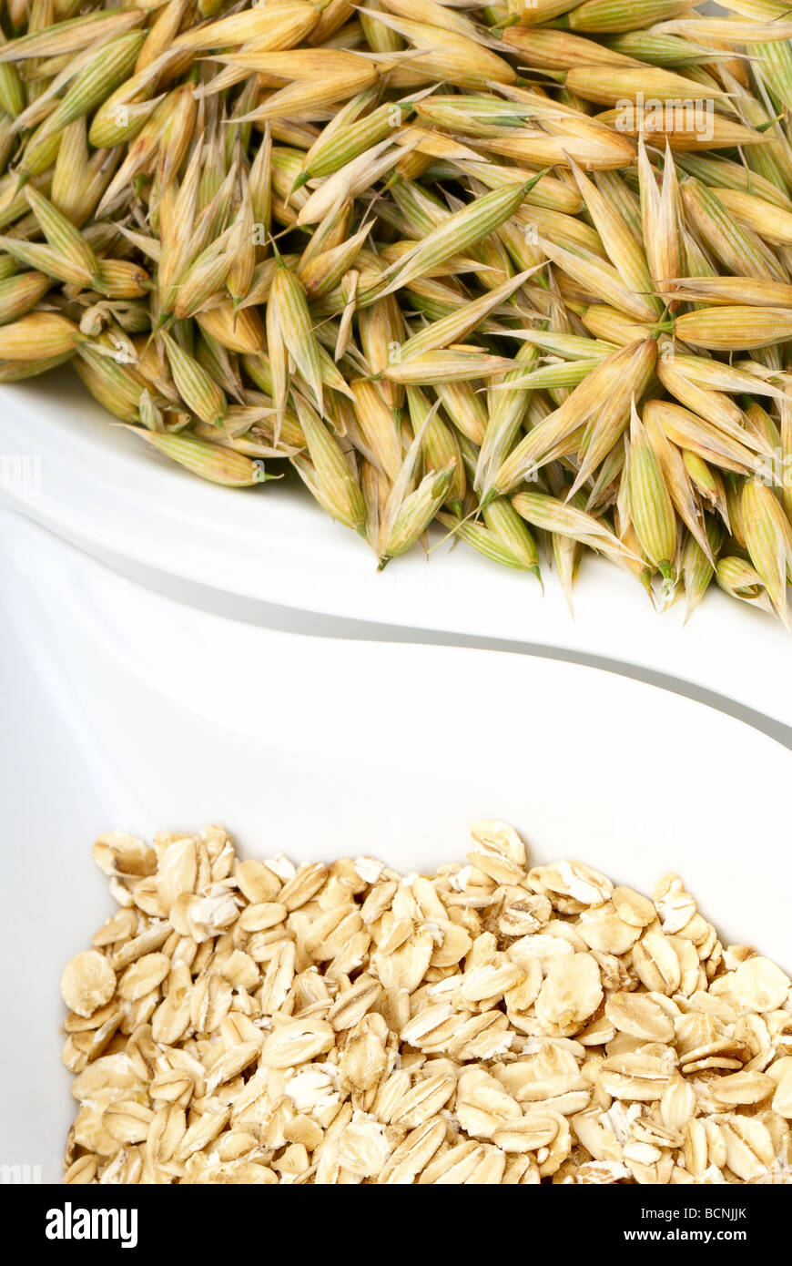 Seeds of two types of oats. Macro Stock Photo - Alamy
