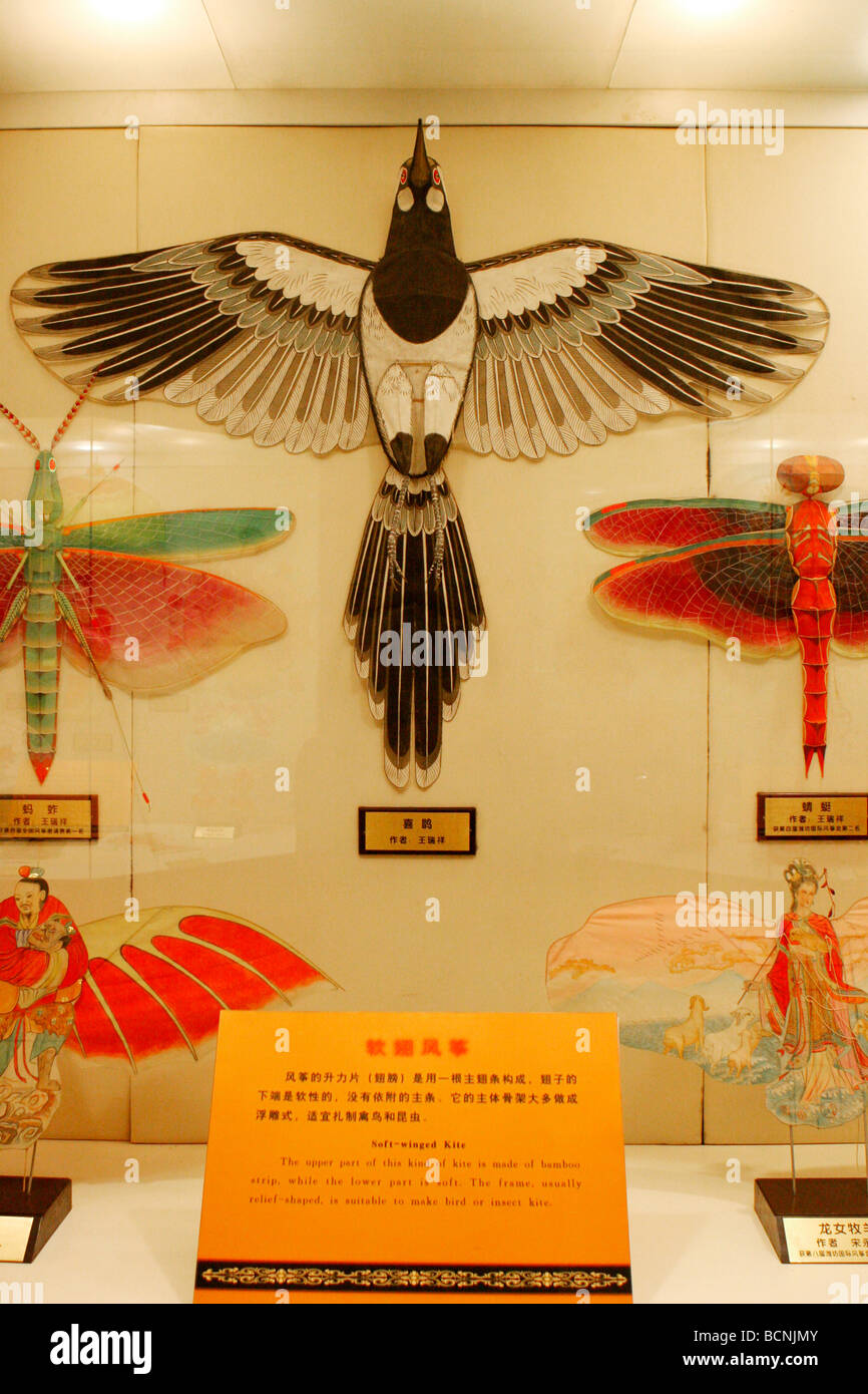 Chinese Bird Kites