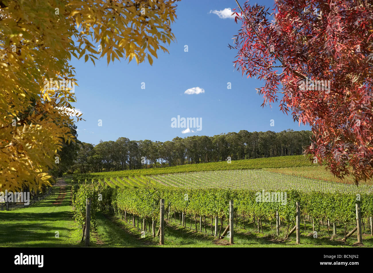 Southern highlands nsw red hi-res stock photography and images - Alamy