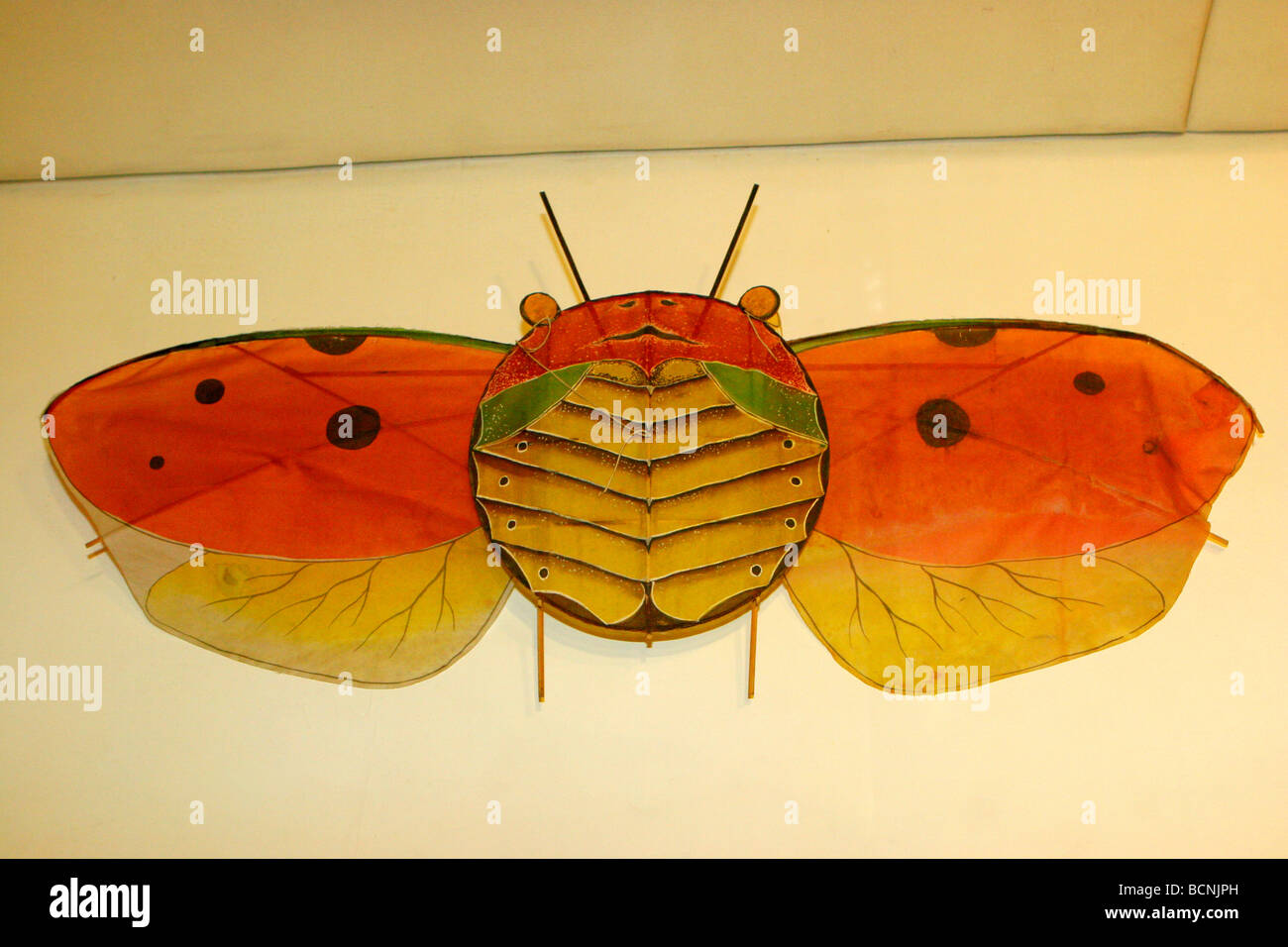 Kite with lady bug design, The Kite Museum, Weifang, Shandong Province ...