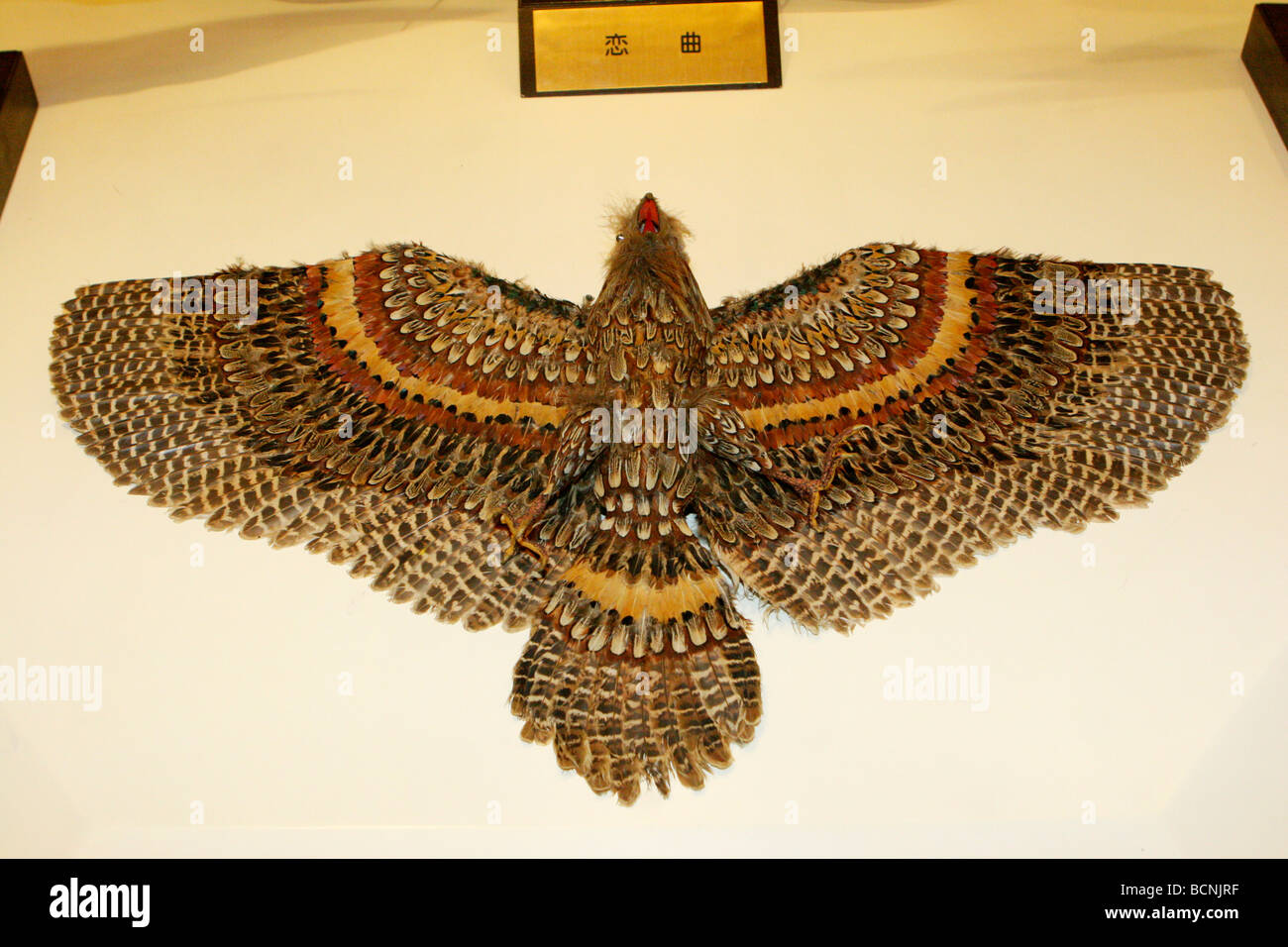 Eagle shaped hi-res stock photography and images - Alamy