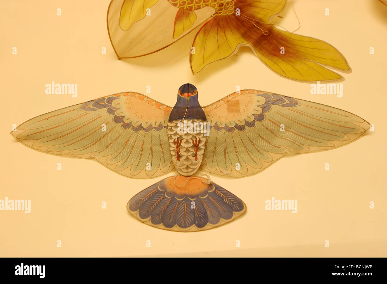 Eagle design hi-res stock photography and images - Alamy