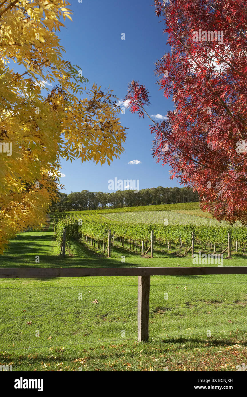 Southern highlands nsw autumn hi-res stock photography and images - Alamy