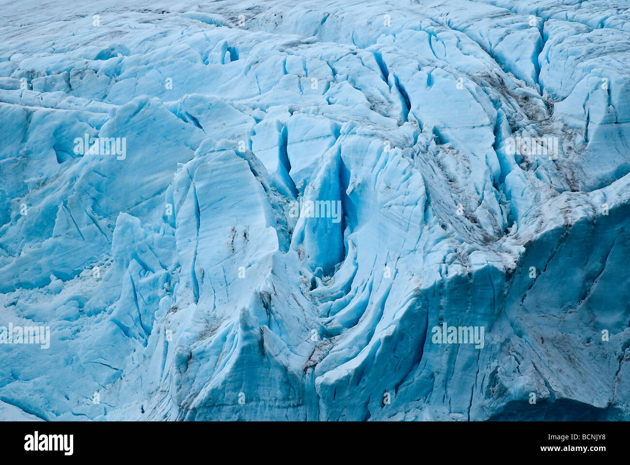 Antarctica antarctic peninsula hope bay hi-res stock photography and ...