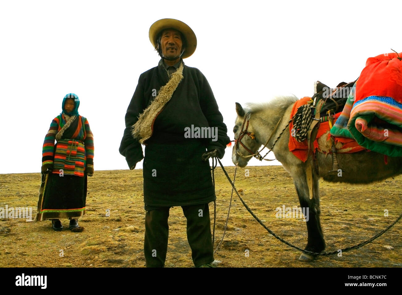 Old Tibetan couple with their horse, Tibet Autonomous Region, China ...