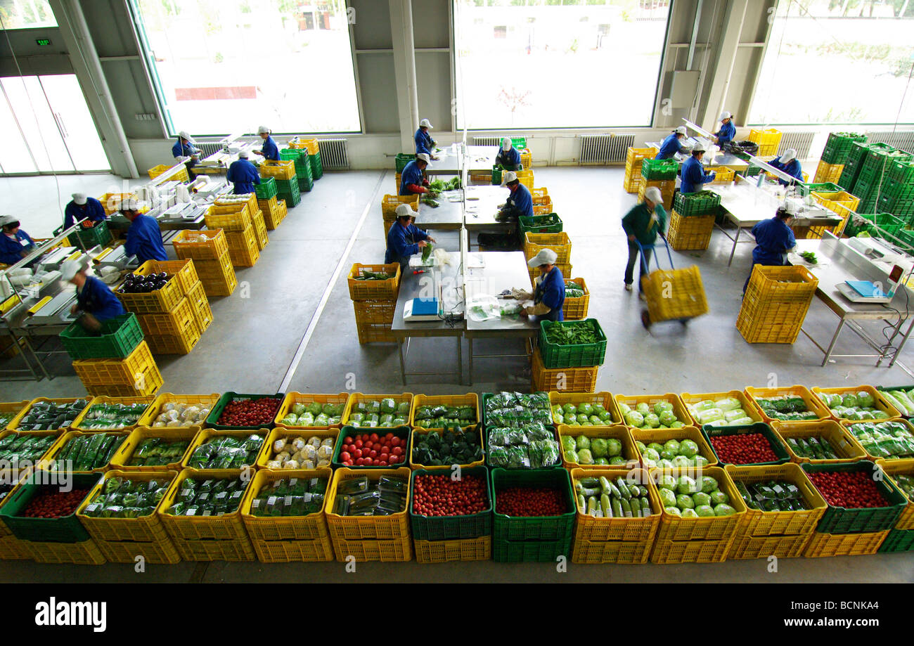 Workers packaging fresh produce in the factory floor, Beijing, China ...