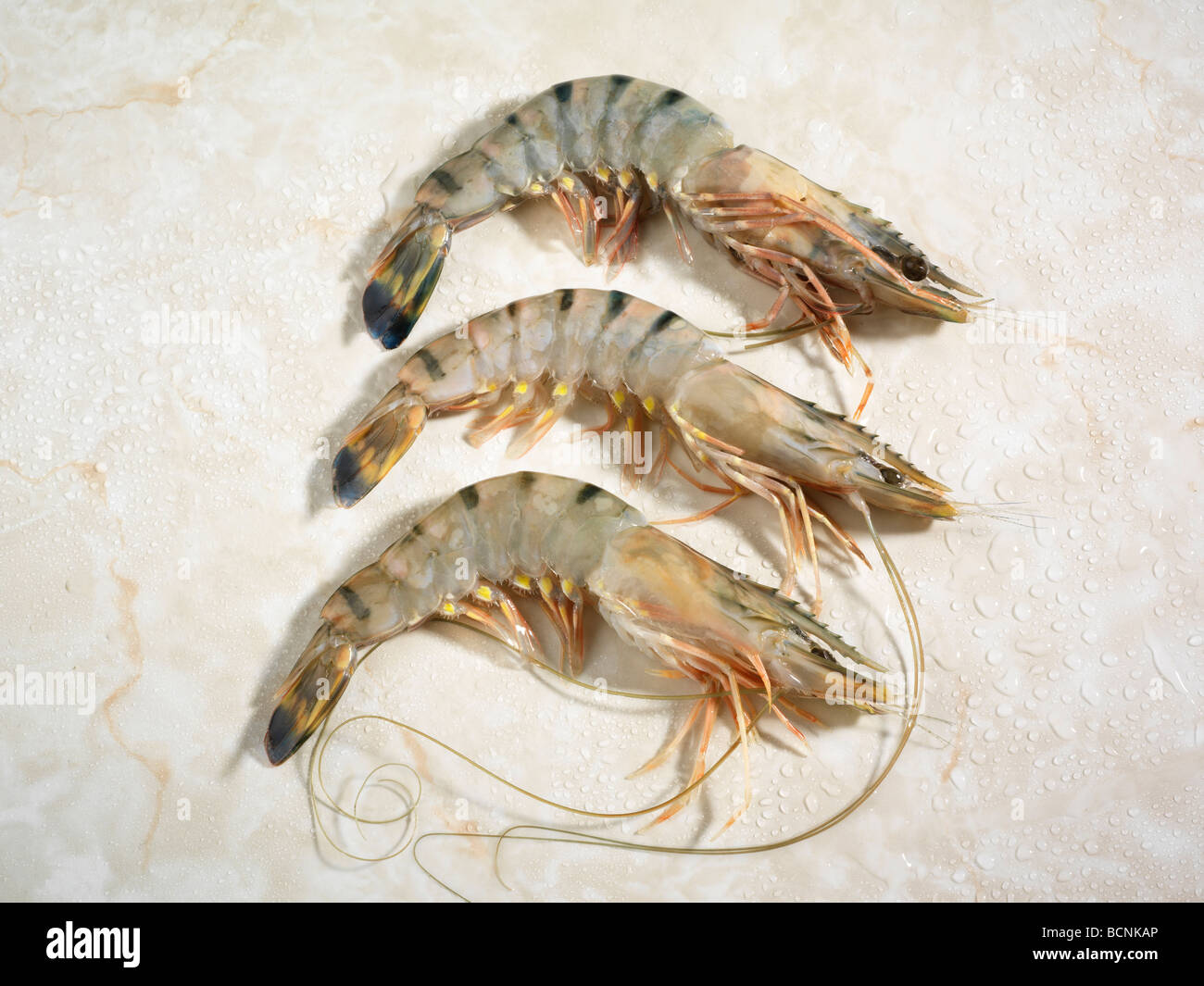 King prawns hi-res stock photography and images - Alamy