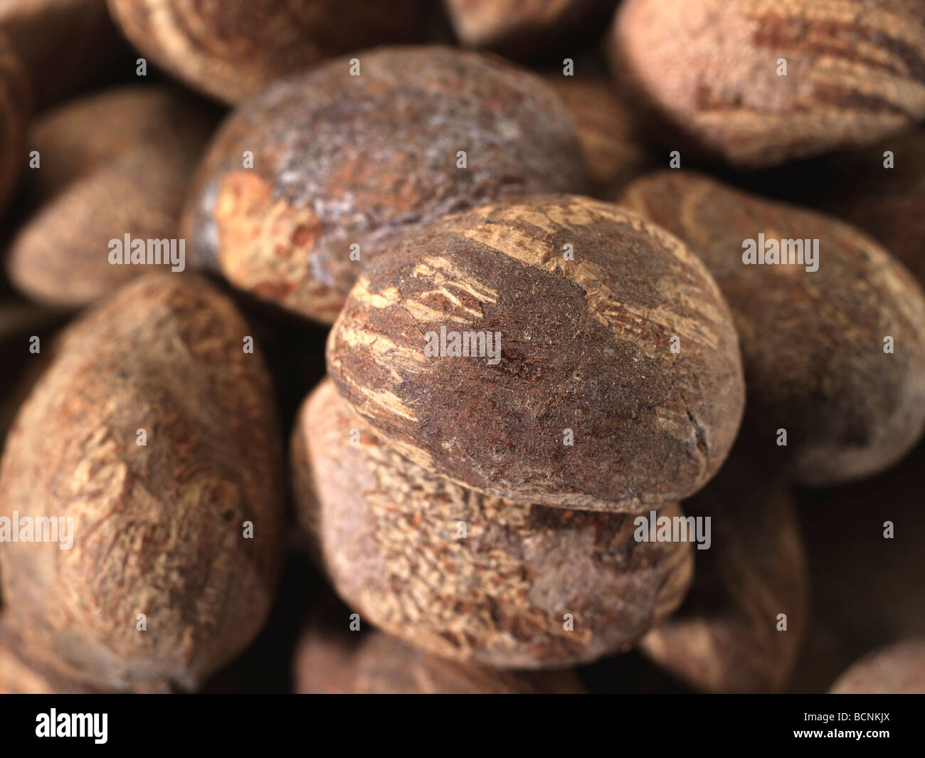 King of nuts hi-res stock photography and images - Alamy