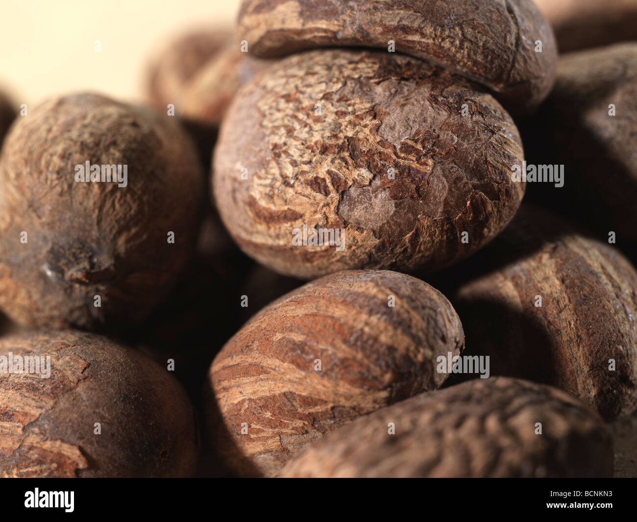 King of nuts hi-res stock photography and images - Alamy