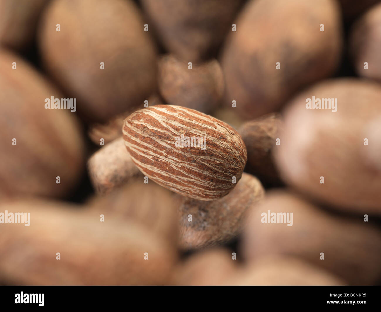 Ghana shea nut hi-res stock photography and images - Alamy