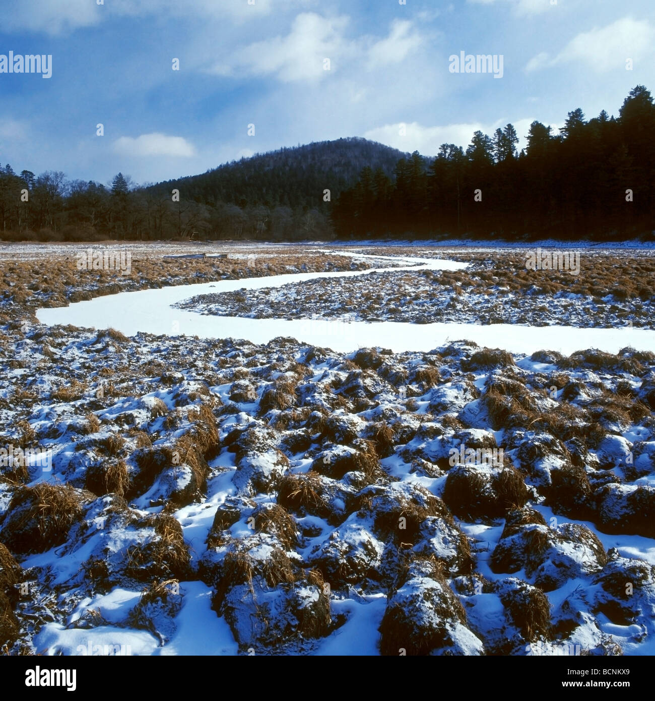 Mudanjiang Marshland in winter, Mudanjiang, Heilongjiang Province ...