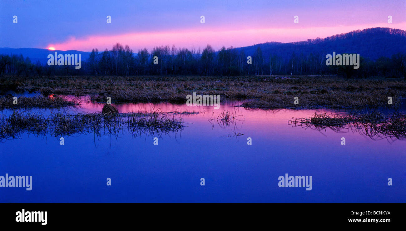 Mudanjiang Marshland, Mudanjiang, Heilongjiang Province, China Stock ...