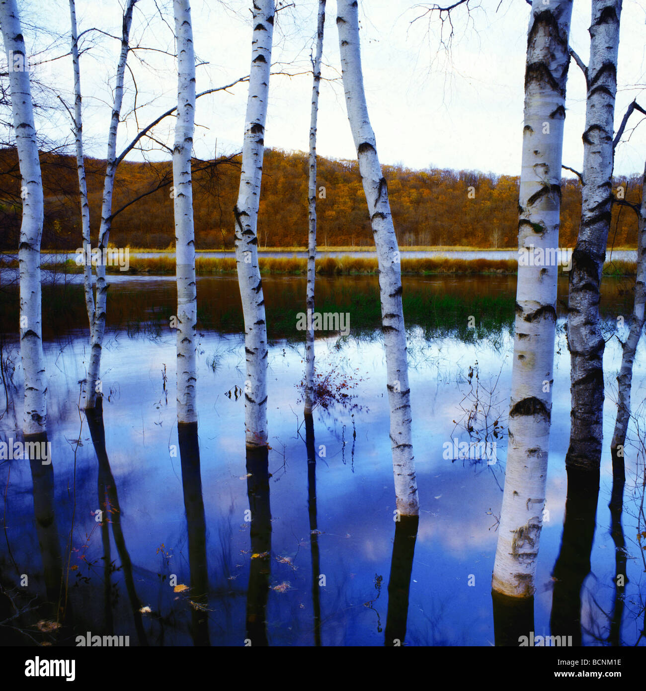 Xiaobei hi-res stock photography and images - Alamy