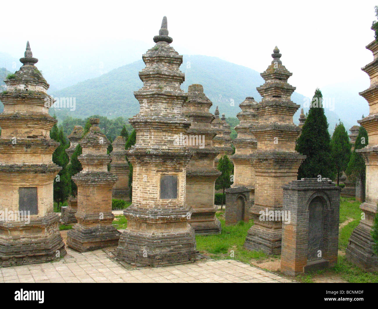 Pagoda Forest, Shaolin Temple, Henan Province, China Stock Photo - Alamy