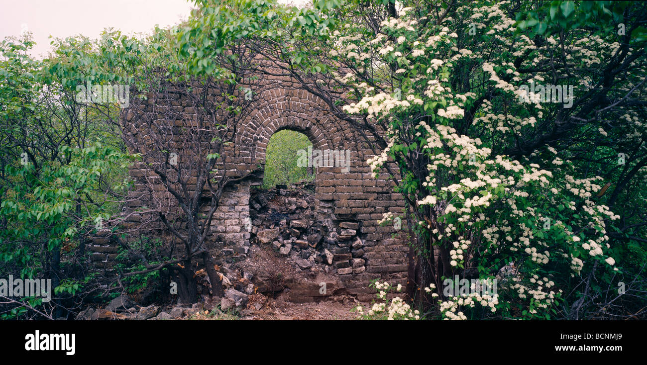 Nine eye spring hi-res stock photography and images - Alamy