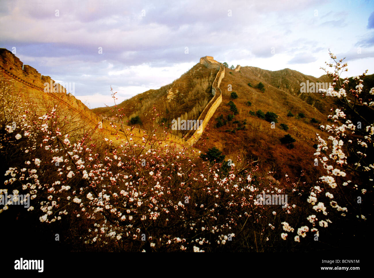 Mutianyu great wall winding hi-res stock photography and images - Alamy