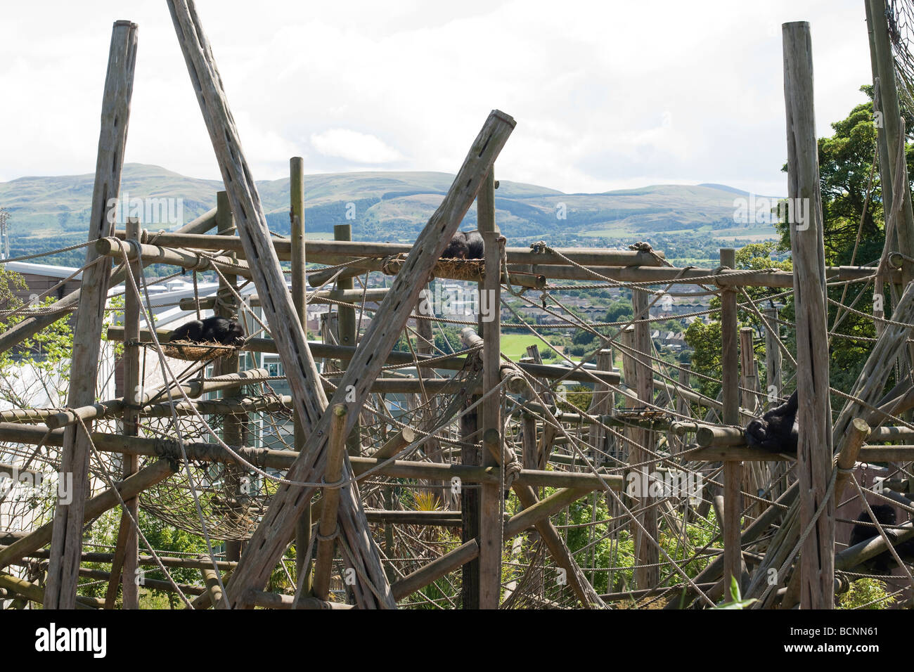 Chimpanzee Enclosure High Resolution Stock Photography and Images - Alamy