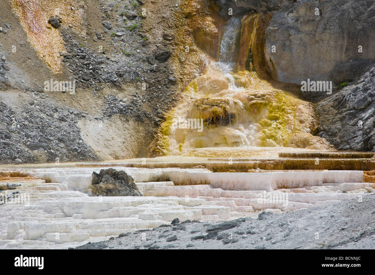 Limestone deposits at Travertine Terraces at Mammoth Hot Springs in ...
