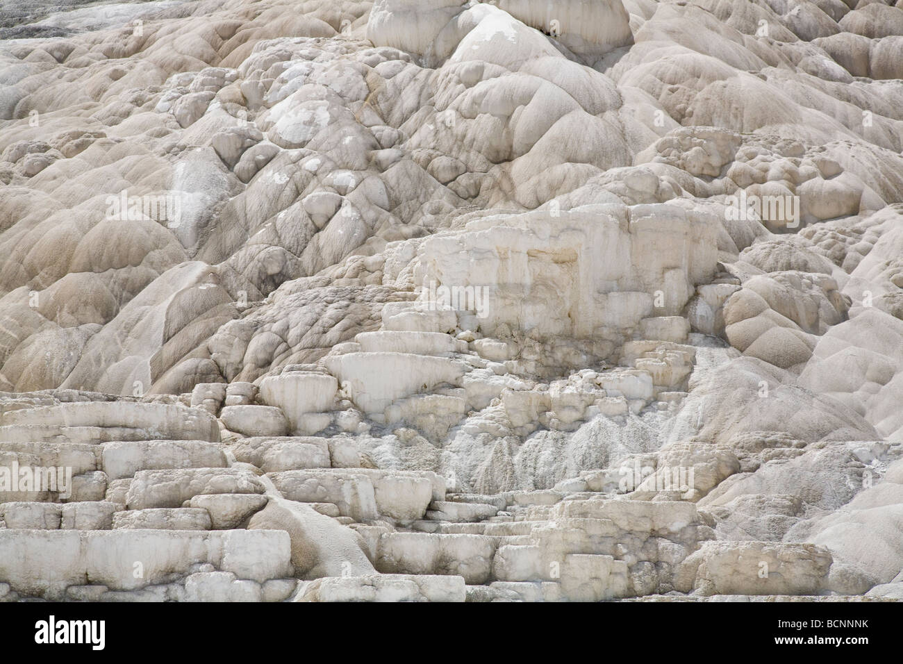 Limestone deposits at Travertine Terraces at Mammoth Hot Springs in ...