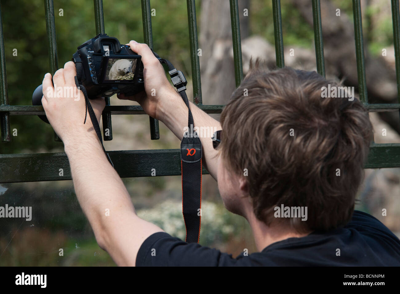 Using live view hi-res stock photography and images - Alamy