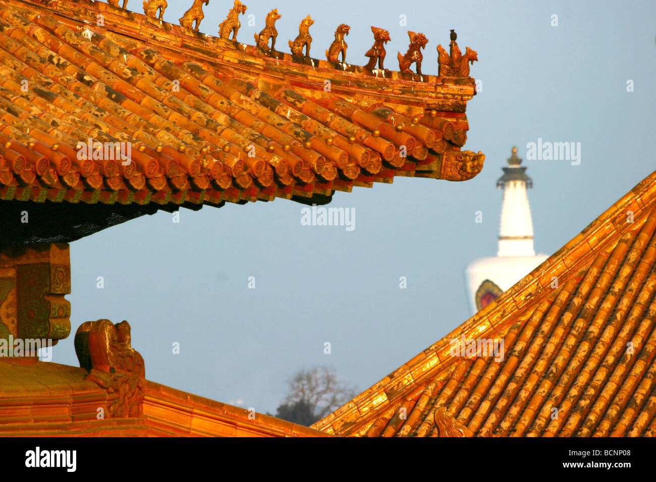 Golden glazed roof of Hall of Supreme Harmony and Hall of Middle ... Golden glazed roof of Hall of Supreme Harmony and Hall of Middle ...