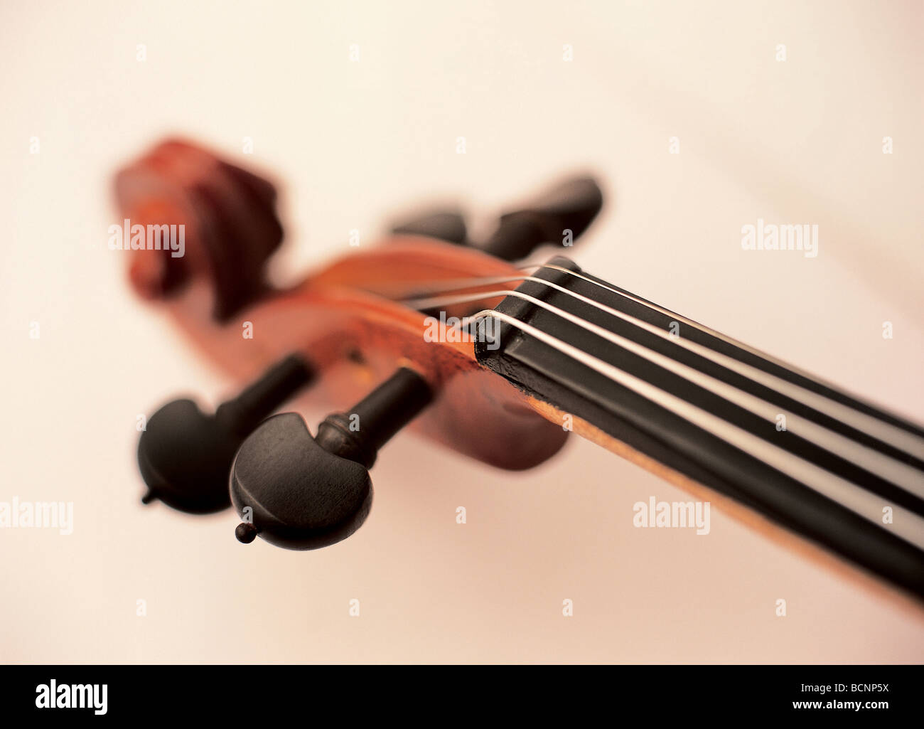 Violin on white Stock Photo - Alamy