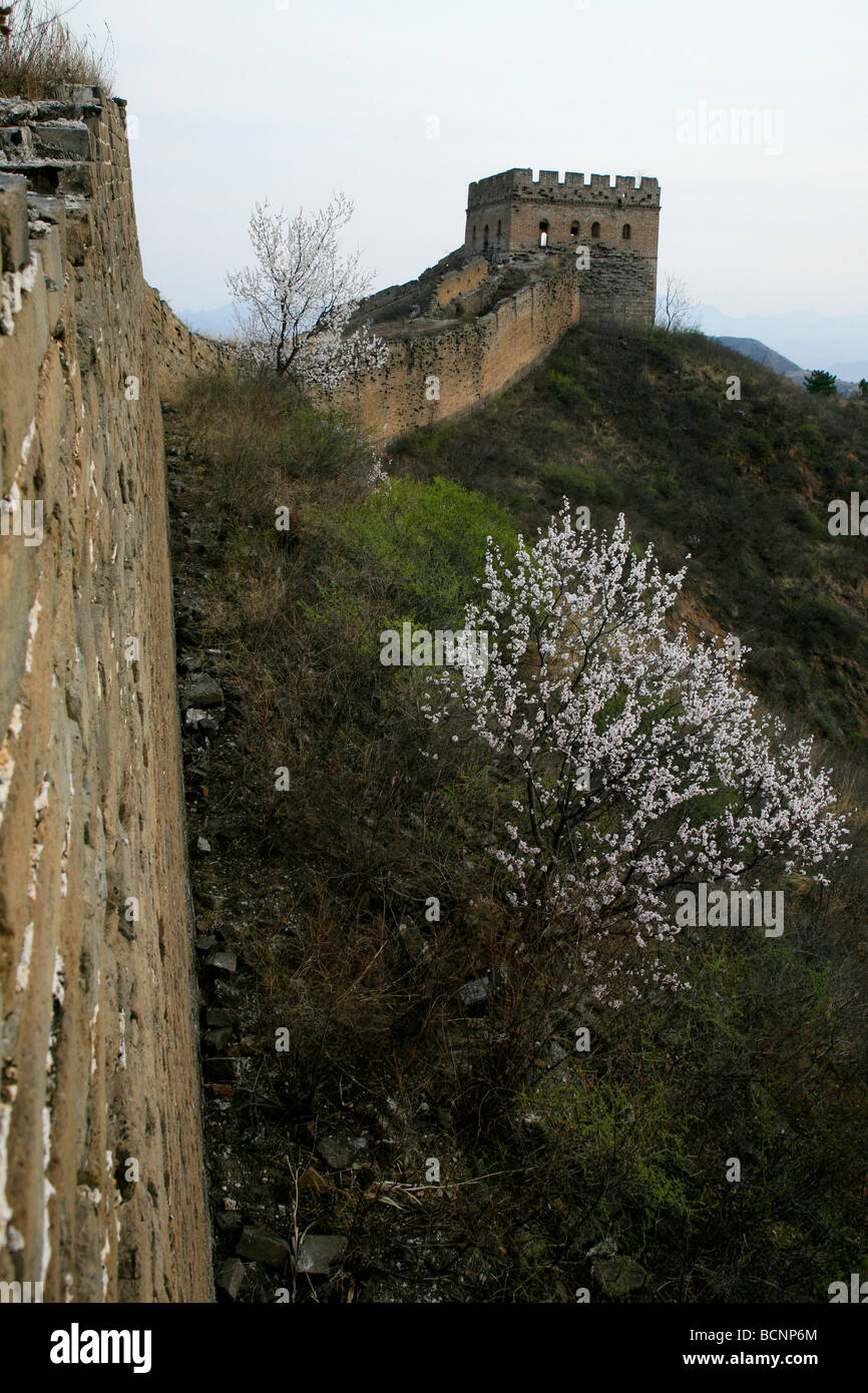 Jinshanling Great Wall in spring, Hebei Province, China Stock Photo - Alamy
