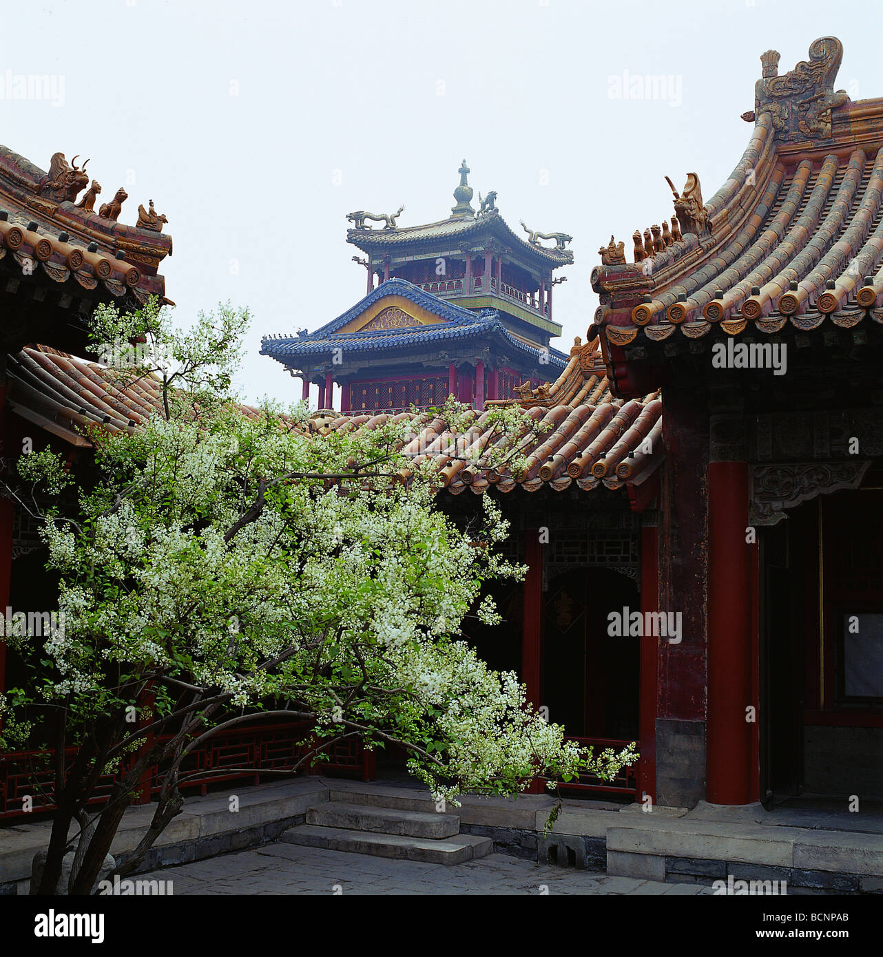 Courtyard of Palace of Eternal Spring in the Forbidden City, Beijing ...