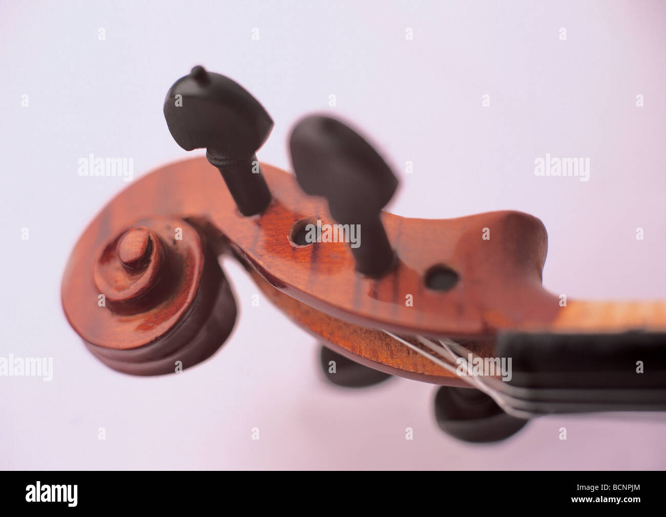 Violin on white Stock Photo - Alamy